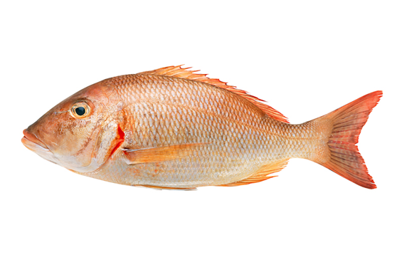 Emperor | East Fish Processing