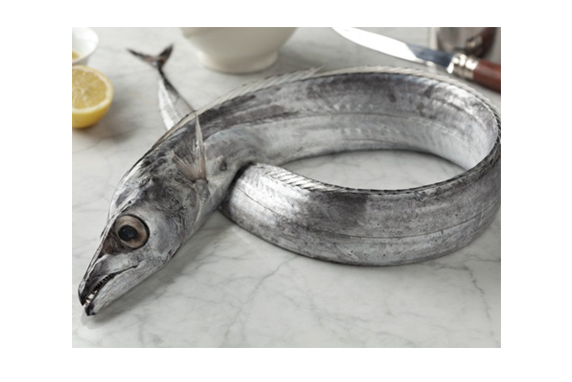 Ribbon Fish | East Fish Processing