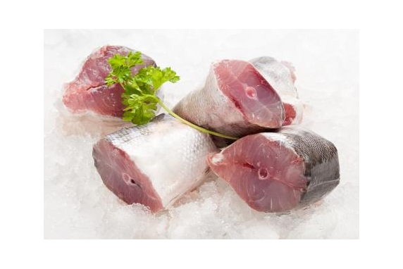 Barracuda Fish Steak Suppliers | East Fish Processing