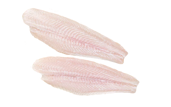 Top cream Dory Fillet Exporters in Dubai | East Fish Processing
